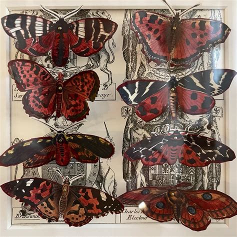 Assemblage Box Art Shadow Box Art Diorama Box Mixed Media Etsy