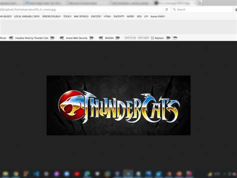 A Professional Web Application Penetration Testing And Owasp Top 10 Report Upwork