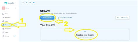How To Set Custom Webhooks With Moralis Streams