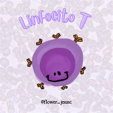 Linfocitos Dibujo
