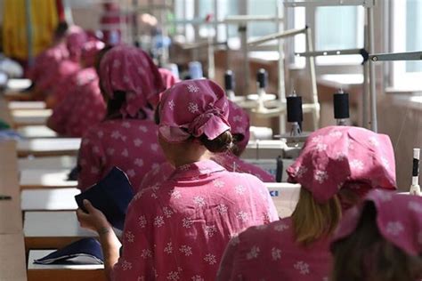 Новости регионов моль атакует колонию Бондарева жалуется на торт в виде пениса — Маланка Медиа