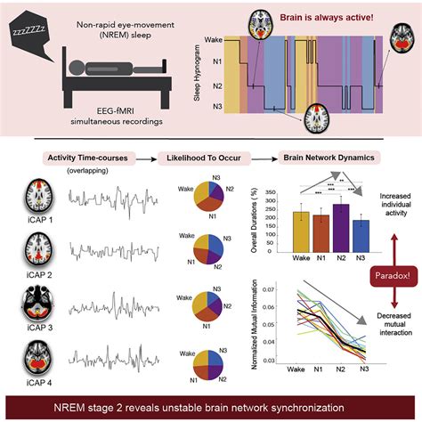 Nrem Sleep Stages Specifically Alter Dynamical Integration Of Large