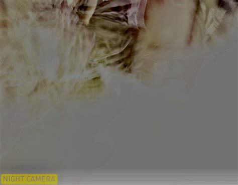 Anyone Seeing What Im Seeing Here Monica Simon