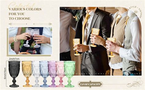 Wiwiqing 48 Pcs Plastic Goblets 75oz Vintage Goblet