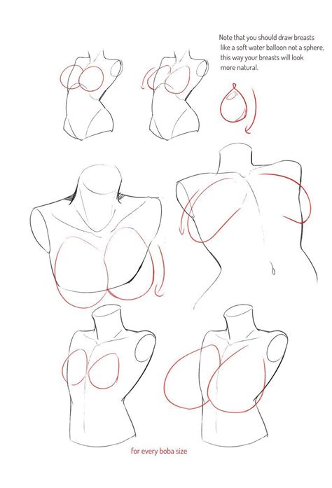 Mae 💗 Illust Design L2d Artist Maealgae1 On X Breast Drawing