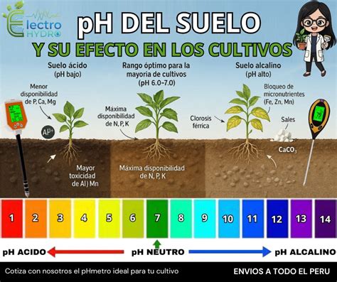 Electro 🌱 El Ph Del Suelo Y Su Impacto En Los Cultivos 🌱 El Ph Del Suelo Determina Qué Tan
