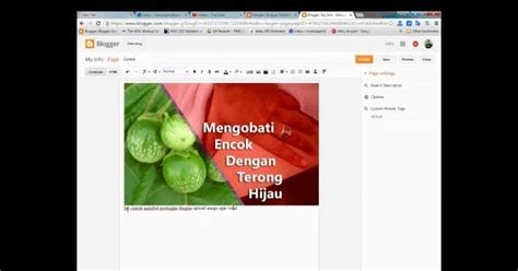 Contoh Embed Video Di Dalam Postingan Tata Cara Blogger