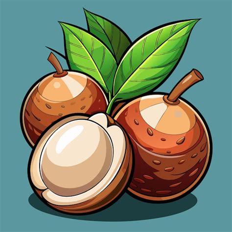 Roasted Coco Images Free Download On Freepik