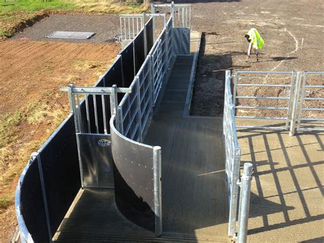 Cattle Handling System Burden Bros Construction Cattle Handling System Burden Bros Construction