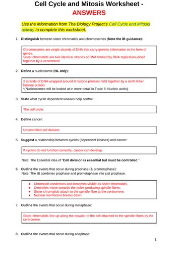 Ib Biology Topic 1 6 Cell Division Teaching Resources