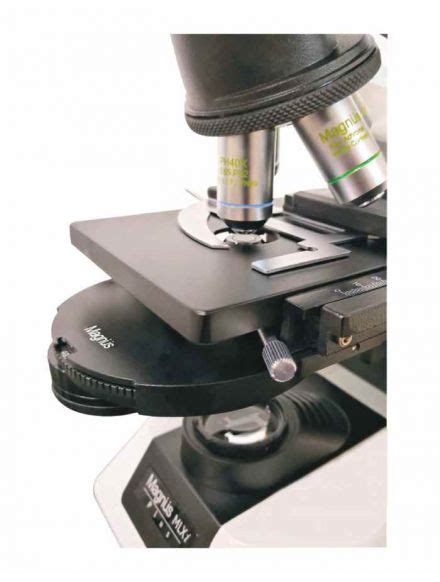 Contrast Microscope Best Manufacturer And Suppliers In India Magnus