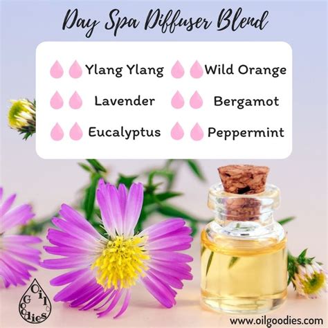 Day Spa Diffuser Blend Essential Oils Herbs Diffuser Blends Oil