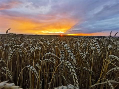 You Like My New Shader 🔥😂 Rfarmingsimulator