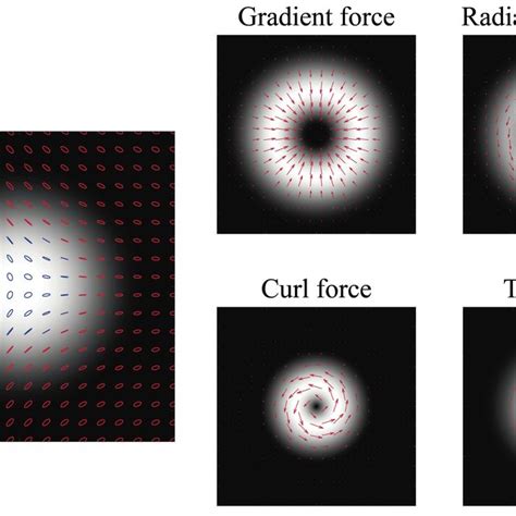 Radially Polarised Vector Beam A Intensity And Polarisation Structure