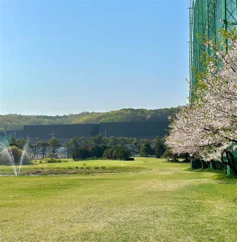 경기도 파주 파3 골프장 비용 클럽2200 어프로치 연습장 추천 네이버 블로그