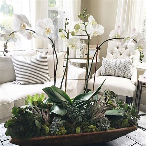 55 Best Orchid Arrangements With Succulents And Driftwood Decomagz