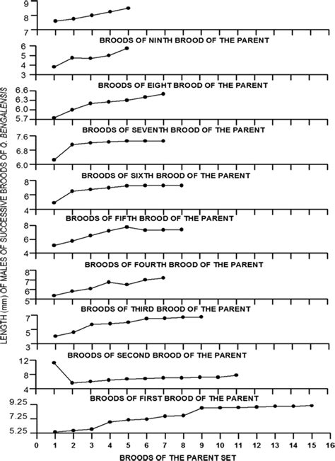 Length Variation Mm In Males In The Parental Set And 9 Successive Download Scientific Diagram