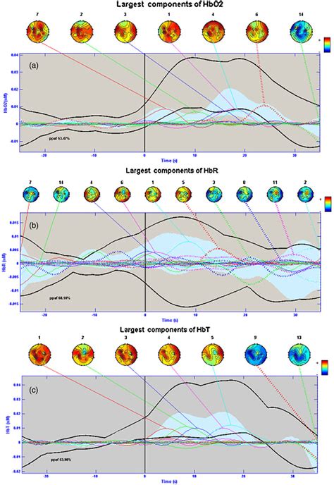 The Spatiotemporal Analysis Of Independent Components Ics That Download Scientific Diagram