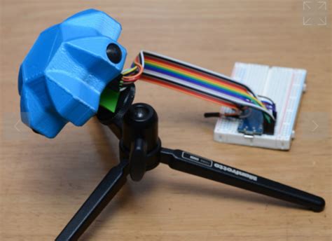 mouse enjoys its freedom hackaday