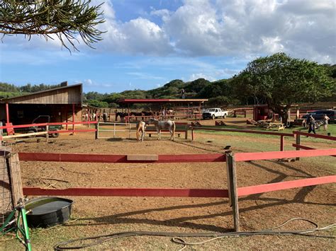 Gunstock Ranch In Oahu Texan Style In Hawaii Atv Trail Rider Magazine