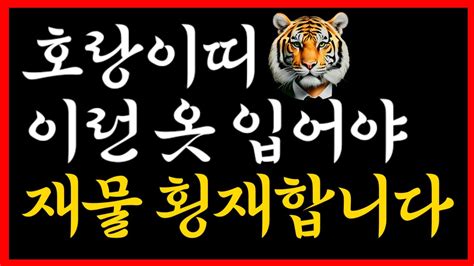 호랑이띠 이런 옷을 입어야 초대박납니다 호랑이띠의 기운을 개선시키는 행운의 옷 색상 디자인 착용 방식 대공개 Youtube
