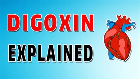 Antacids And Digoxin At Jamie Gibb Blog