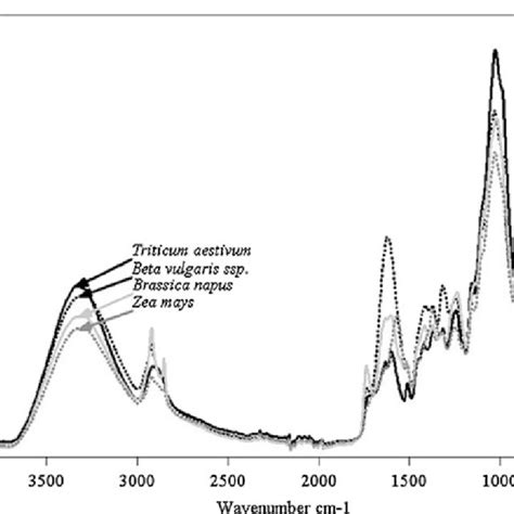 Fourier Transform Mid Infrared Spectroscopyattenuated Total Reflection Download Scientific