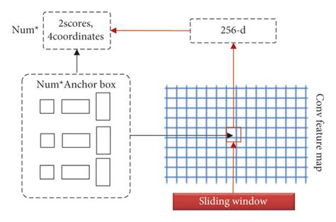 Regional Proposal Network Structure Diagram Download Scientific Diagram