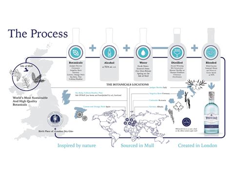 Gin Process Infographic By Ernesto Parra