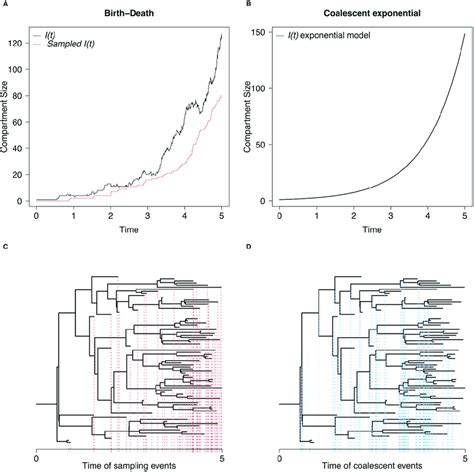 A Example Stochastic Trajectories In The Infected Compartment And