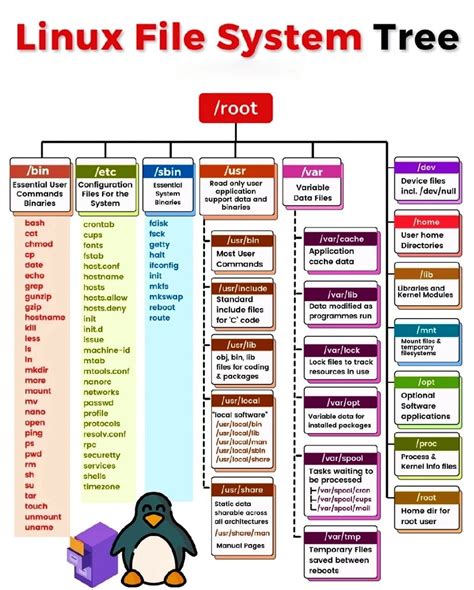 Abdullahel Kafi On Linkedin Linux Filesystem Linuxtips Techskills