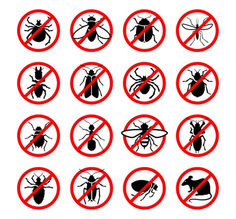 TYPES OF PESTS BEST PEST CONTROL COMPANY IN DUBAI