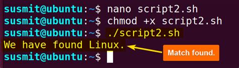 Using Grep In If Statement In Bash 4 Cases Linuxsimply