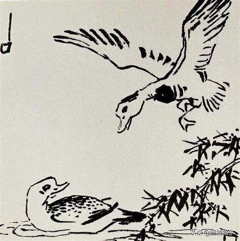 國畫基礎講堂鴛鴦圖的構圖佈局以及鴛鴦的畫法 每日頭條