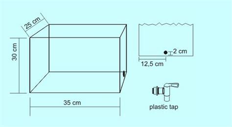მინიატიურული „ხელოვნური ჭაობი“ სკოლაში Mastsavlebeli Ge