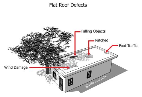 Flat Roof Defects Inspection Gallery Internachi®