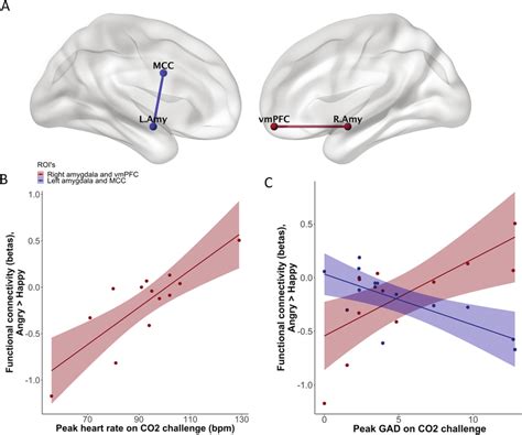 A Task Evoked Functional Connectivity Contrast Angry Happy Between Download Scientific