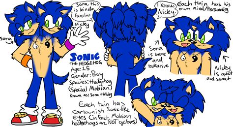 Download Sonic Ref Sheet Clipartkey
