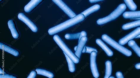 Probiotic Lactobacilli Under Microscope Scientific 3d Medical Render