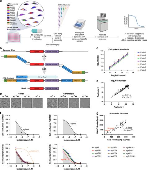 qmap seq generates precise and accurate quantitative measures of drug