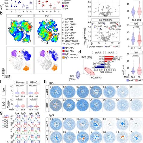 Poly And Self Reactivity Of Intestinal Memory B Cell Antibodies From