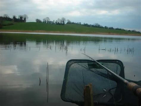Targeting Specimen Roach Irish Roach Angling Roach In Ireland