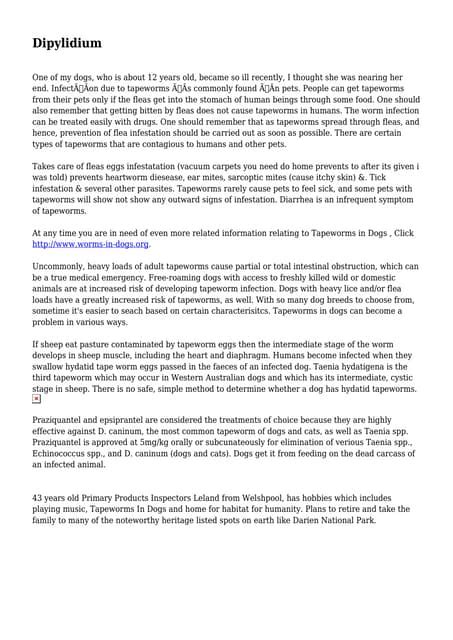 Dipylidium Pdf