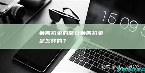 金吉拉兔的简介 金吉拉兔是怎样的 知乎