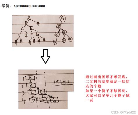 数据结构之swustoj972 统计利用先序遍历创建的二叉树的宽度 csdn博客
