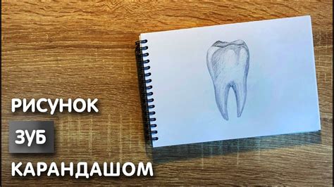 Как нарисовать зуб карандашом Рисунок для начинающих поэтапно Youtube