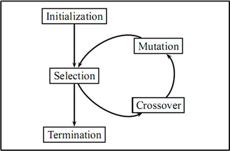 Survival Of The Fittest Variation Evolutionary Algorithms In Optimization