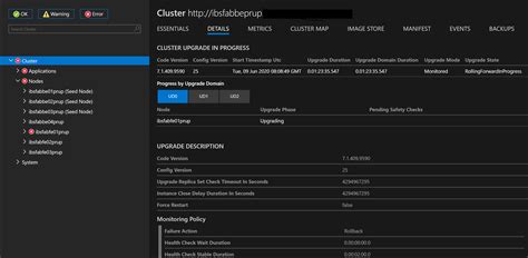 Upgrade To 71 Stuck Fabric Upgrade Failed On The Node · Issue 955