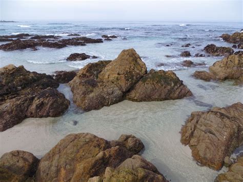 Asilomar State Beach Pacific Grove Ca California Beaches