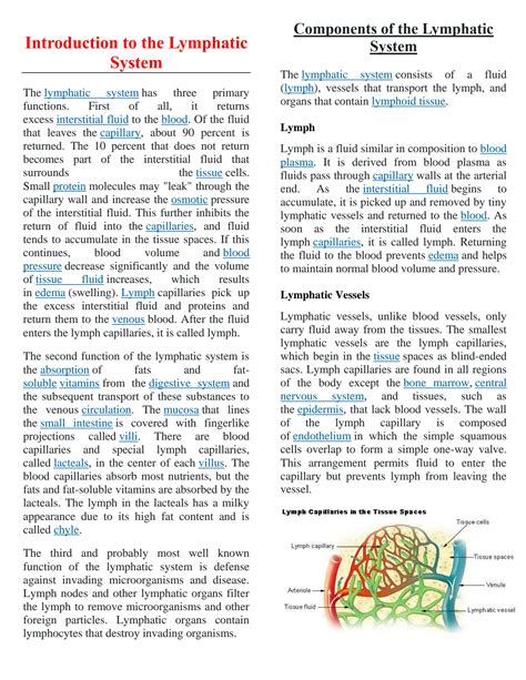 Solution Introduction To The Lymphatic System Studypool